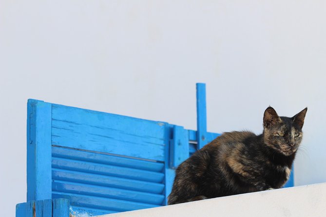 Private Tour: Mykonos Island in Half a Day - Practical Considerations