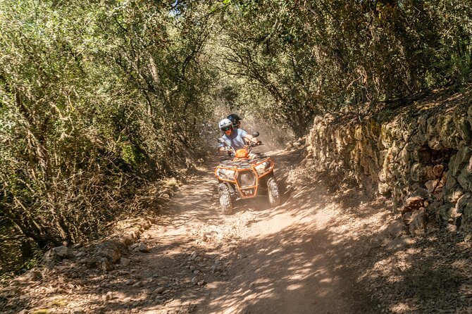 Quad BikeTour with Cliff Jumping and Snorkeling - Final Thoughts