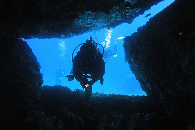 Qualified Diver 1 Tank Dive in Mykonos - The Real Experience: Authenticity and Flexibility