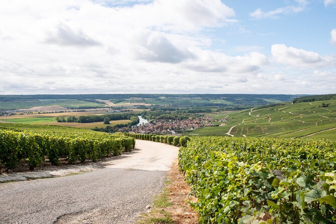 Reims afternoon tour Champagne and family growers - A Detailed Breakdown of the Tour
