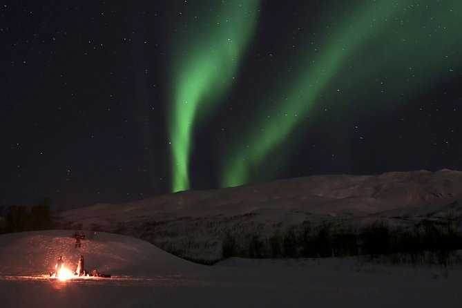 Reindeer feeding & Saami Culture with chance for Northern Lights - The Sum Up: Who Is This Tour For?