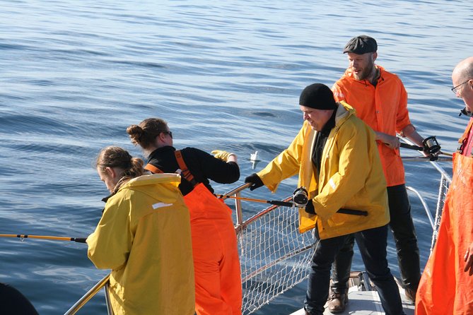 Reykjavik Sea Angling Gourmet - FAQs