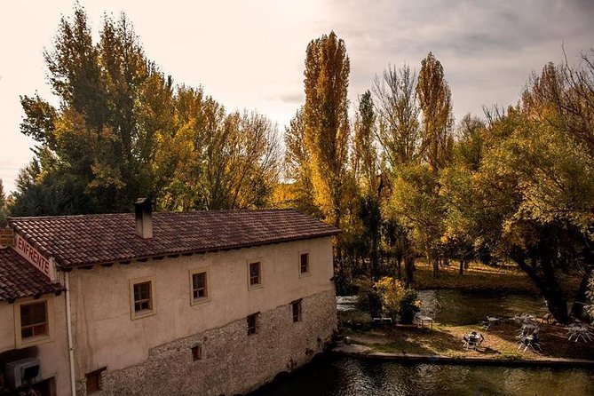 Ribera del Duero Winery Guided Tour and Wine Tasting from Madrid - Final Thoughts