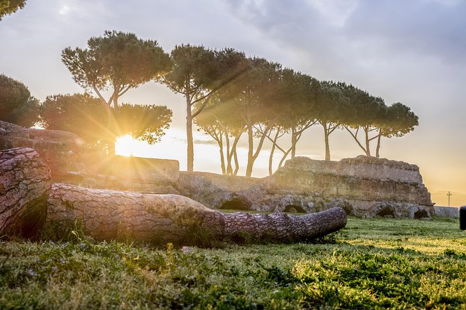 Rome E-Bike Small Group Tour of the Appian Way with Private Option - Who Will Love This Tour?