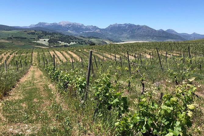 Ronda Day Tour and Winery Visits from Marbella - Frequently Asked Questions
