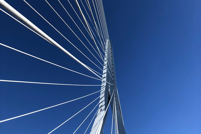Rotterdam Architecture Highlights Walking Tour - Who Should Consider This Tour?