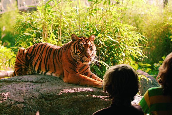 Rotterdam Zoo Diergaarde Blijdorp Direct Entrance Ticket - Practical Tips for Your Visit
