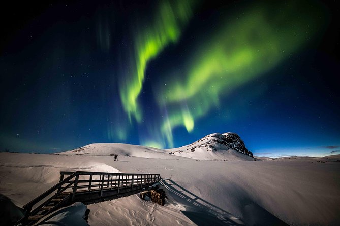 Rovaniemi Northern Lights Photography Small-Group Tour - FAQ