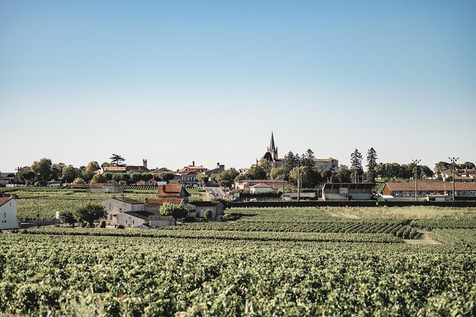 Saint-Emilion Electric Bike Day Tour with Wine Tastings & Lunch - Picnic Lunch Among the Vines
