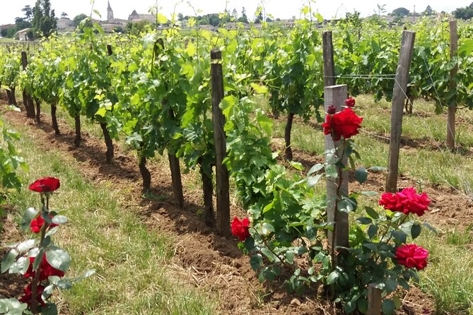 Saint Emilion Wine Tour Tasting Half Day from Bordeaux - FAQ: Practical Questions Answered