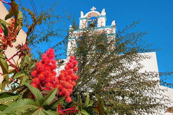 Santorini Day Tour with Sunset in Oia - Moving on to Pyrgos and Profitis Ilias