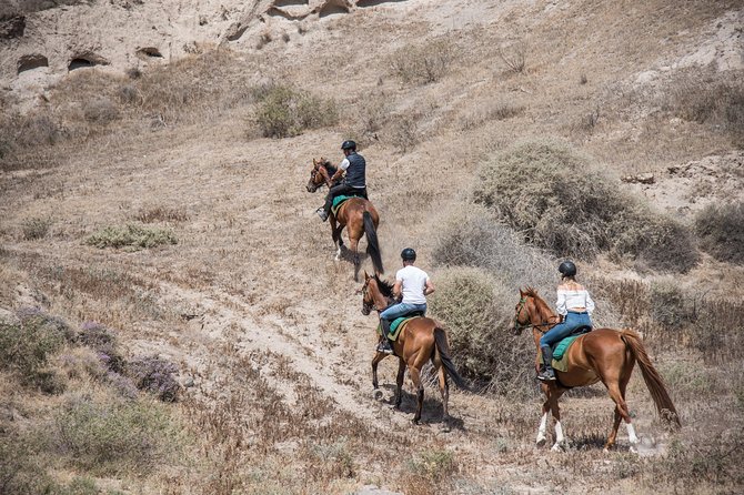 Santorini Horse Riding to Black Sandy Beach - Authentic Experience and Real Reviews