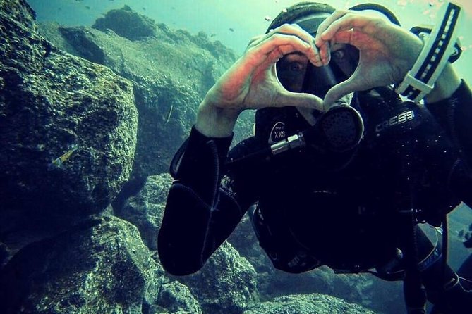 Scuba Diving Experience in Madeira - Who Should Book This Tour?
