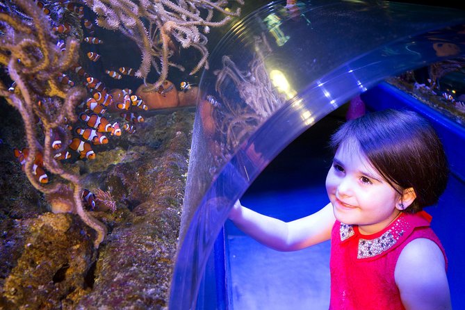 SEA LIFE Manchester Admission Ticket - Frequently Asked Questions