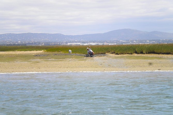 Short boat trip of the Algarve's Ria Formosa lagoon from Faro: 1 hour - Final Thoughts