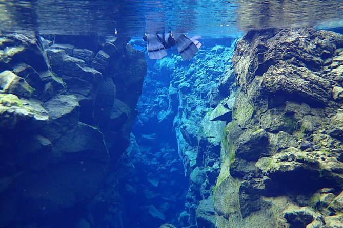Silfra Fissure Snorkeling From Reykjavík - Free Underwater Photos - What Travelers Say