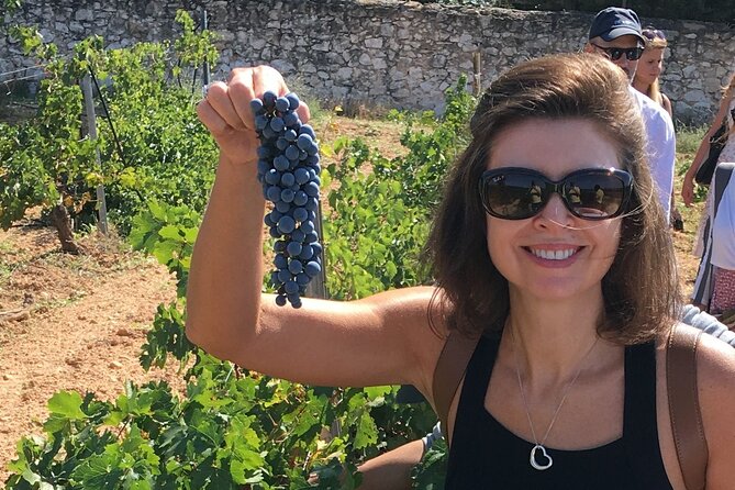 Singular Valencia Wine Tour Utiel Requena Wineries - Final Thoughts