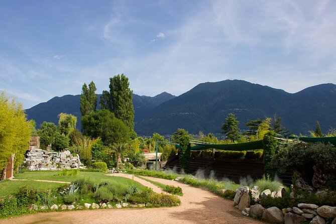 Skip the Line: Falconeria Locarno Ticket - Final Thoughts: Is This Tour for You?