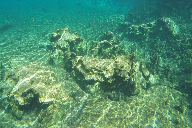Skip the Line:Recanto Ecologico Rio da Prata Ticket including Trail & Snorkeling - Whats the Cost & Is It Worth It?