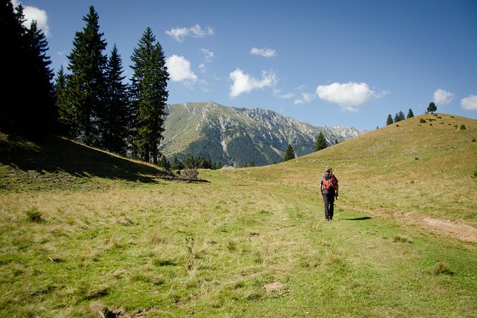 Small-Group Day Trip in Romanian Authentic Mountain Villages from Brasov - Frequently Asked Questions