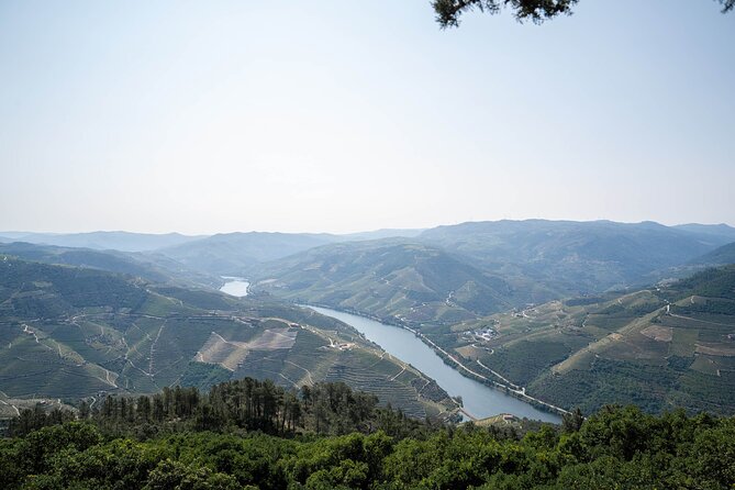 Small Group Douro Valley Wine Tour with Lunch and Cruise - Practical Details & Group Dynamics