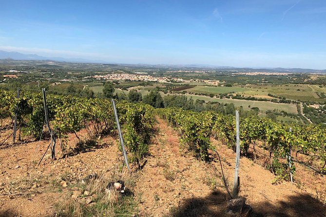 Small-Group Food and Wine Tour from Cagliari - FAQ
