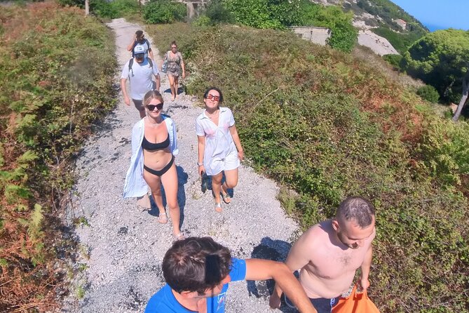 Snorkeling 360 Experience in Sazan Island & Karaburun - Analyzing the Value