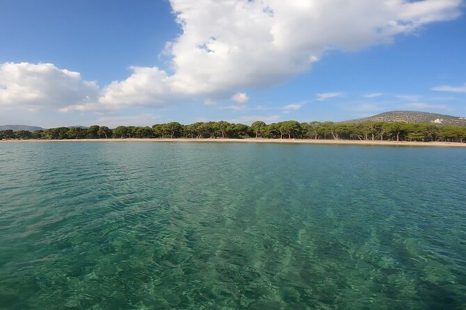 Snorkeling Boat Excursions in Nea Makri, Athens - From the Reviews: Authentic Perspectives