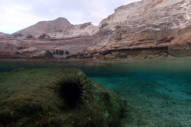 Snorkeling Tour - In The Sum Up