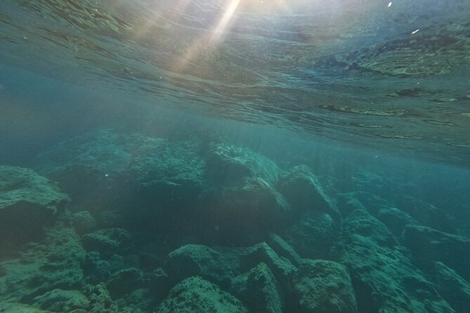 snorkeling ,Turtle Watching in Cyprus - The Value for Money