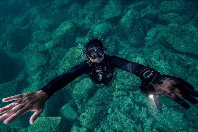 Snorkeling with Marine Biologist Expert from Sorrento - Reviews in Action
