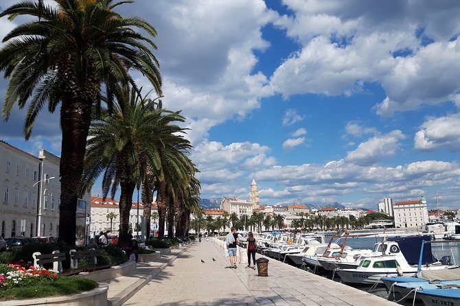 SPLIT-BOUTIQUE Emperor's Walk for History Lovers + Cellars Museum - The Audience: Who Will Love This Tour?