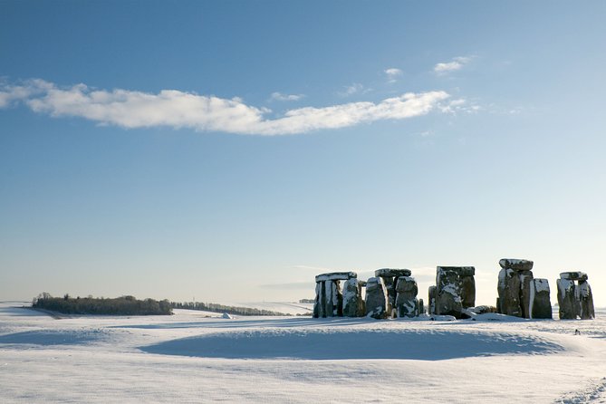 Stonehenge Half-Day Tour from London with Admission & Snack Pack - The Food and Snacks