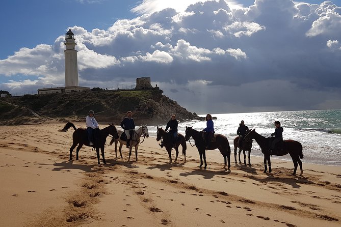 Stunning Sundown Beach Ride ... on horseback! - What the Reviews Tell Us
