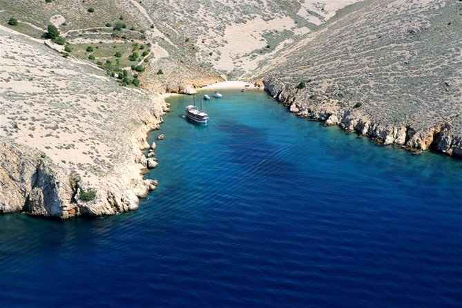Swimming and Snorkeling on Wild bays with Captain Bobo - Who Will Love This Experience?