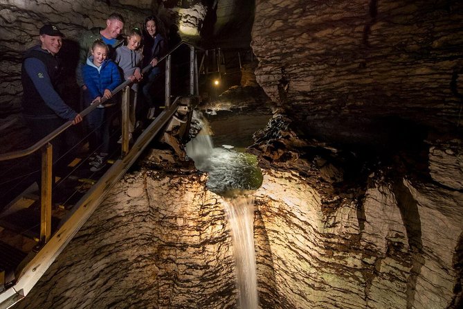 Te Anau Glow Worm Caves Tour - What the Reviews Say