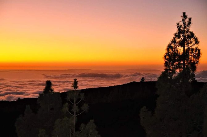 Teide National Park Sunset & Stargazing with Dinner (Star Safari) - Who Should Consider This Tour?