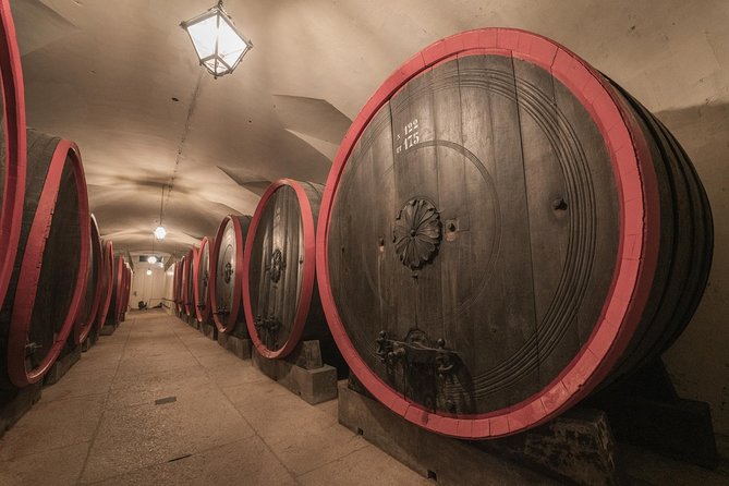 The Amarone Chateau guided tour and tasting in Valpolicella - What the Reviews Say