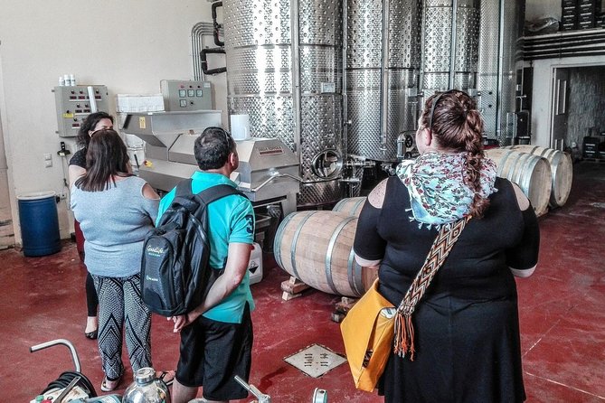 The Gourmet Wine Tour of Heraklion area - Final Thoughts: Who Should Sign Up?