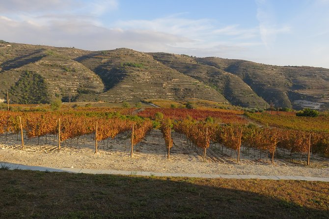 The Grape Escape: Troodos Mountains thru Wine Small Group Tour 6hrs - Final Thoughts: Is This Tour Worth Your Time?