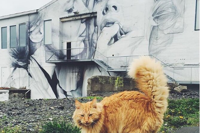 The Reykjavik Cat Walking Tour - What About the Price and Overall Value?