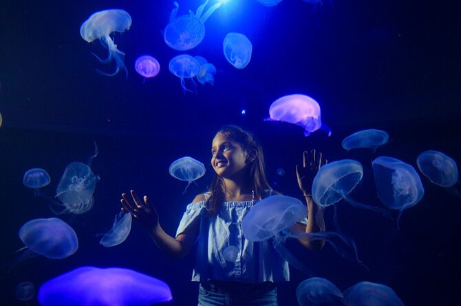 Ticket Palma Aquarium - FAQs about Palma Aquarium