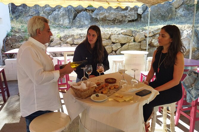 TOP WINE TOUR- Vineyard & cellar visit + 6 top wines + tapas - Authentic & Personalized Experience