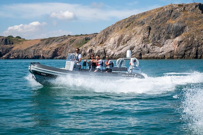 Torquay Coastal RIB Seafari - Authentic Experiences and Guest Perspectives