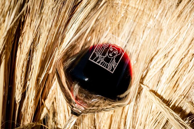 Tour and Tasting at an Organic Winery in the Heart of Chianti Classico Area - Price and Value