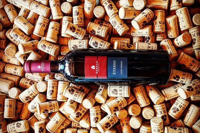 Tour in the Winery and tasting - The Sum Up: Who Will Love This Tour?