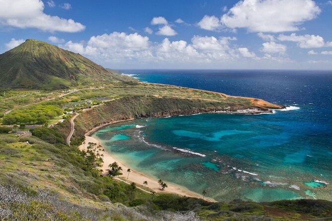 Tour of North Shore & Waimea Waterfall - Sampling Local Flavors: Macadamia Nuts and Coffee