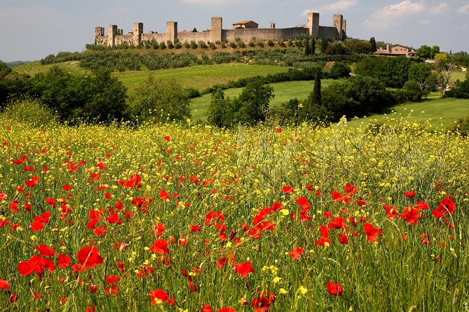 Tuscany Hiking Tour from Siena Including Wine Tasting - FAQ: Your Questions Answered