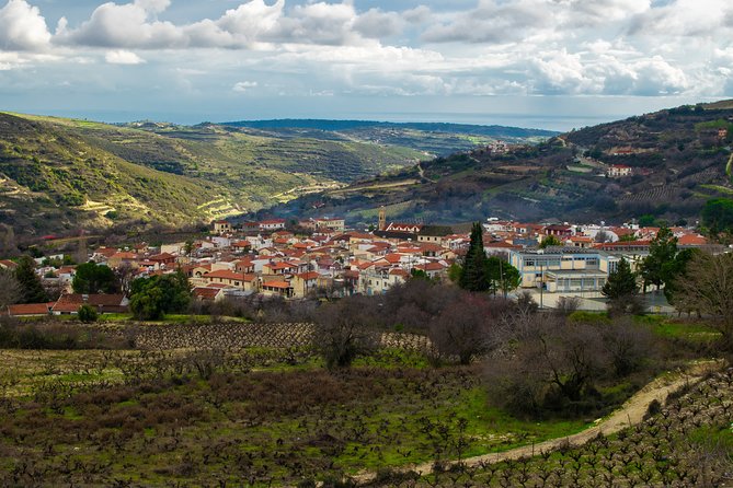 Vino Venture: Explore With A Local - Troodos Mountains thru Wine! - Final Winery & Scenic Drive Home