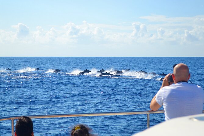 VipDolphins Luxury Whale Watching - Practical Details and Tips